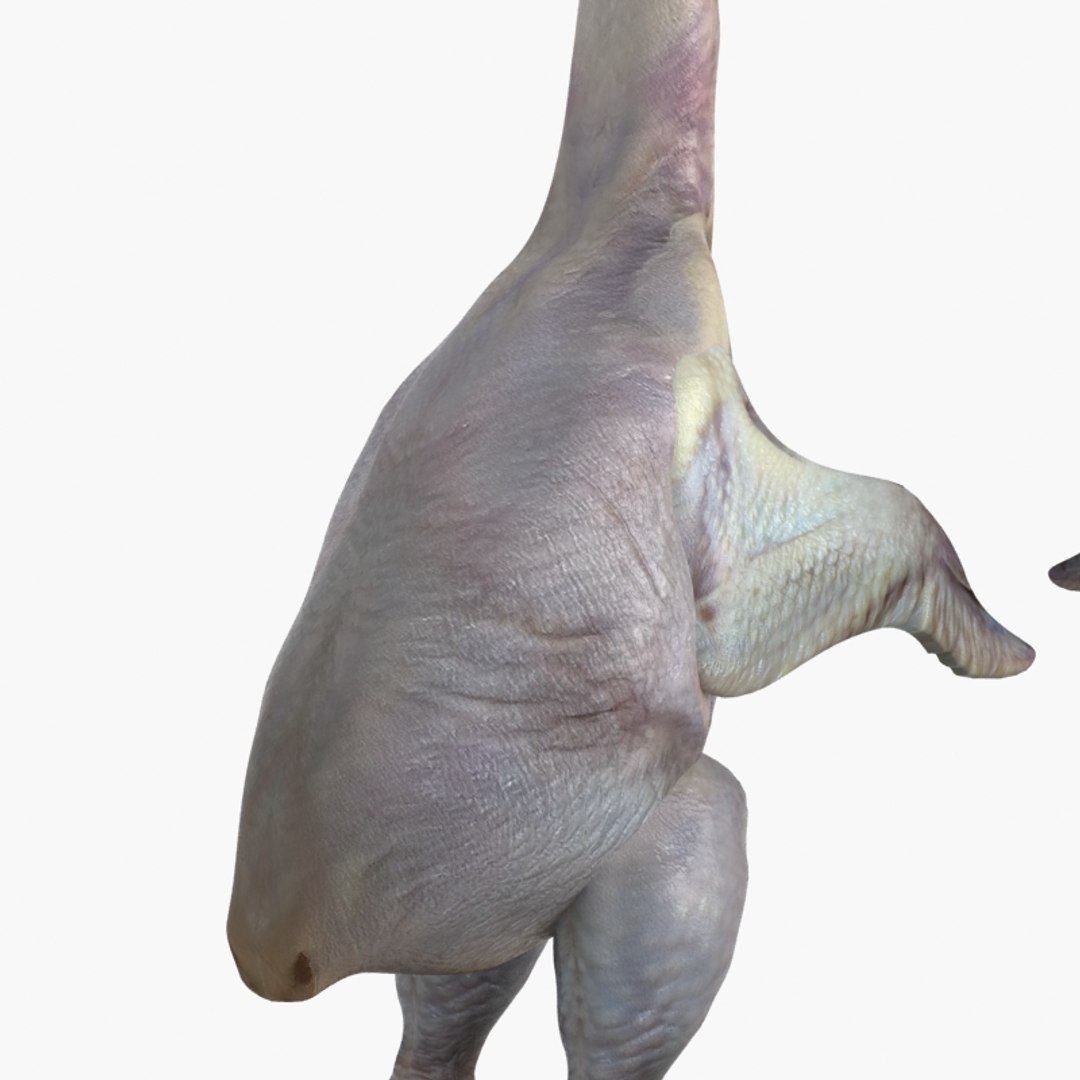 3D Raw Chicken - TurboSquid 1495107