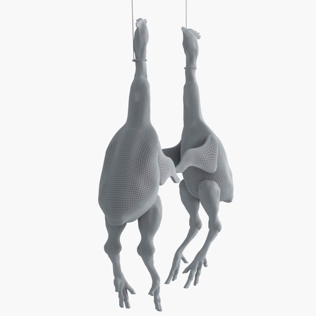 3D raw chicken - TurboSquid 1495107