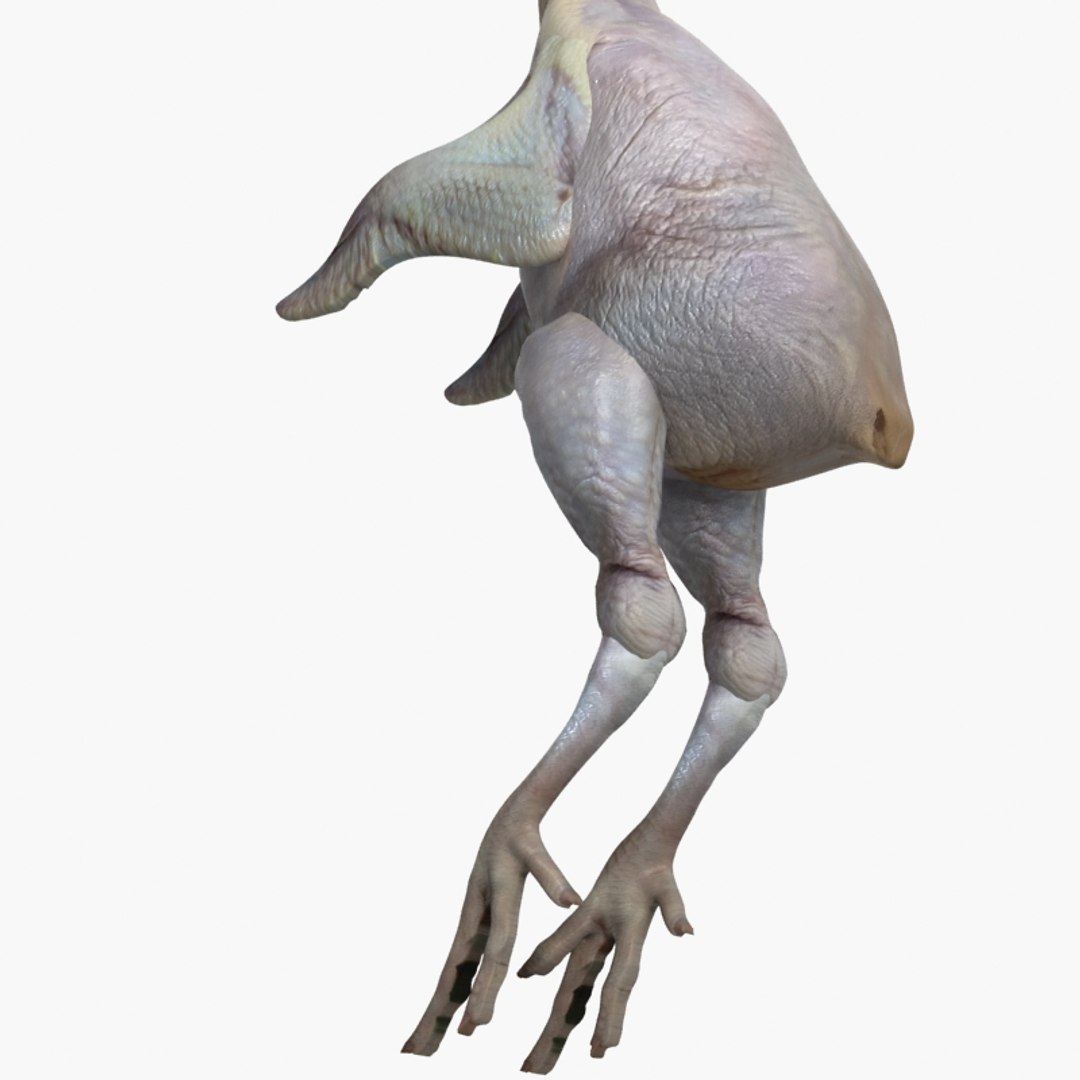 3D Raw Chicken - TurboSquid 1495107