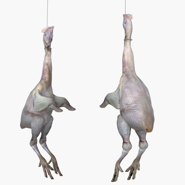 Chicken Foot 3D - TurboSquid 2034990