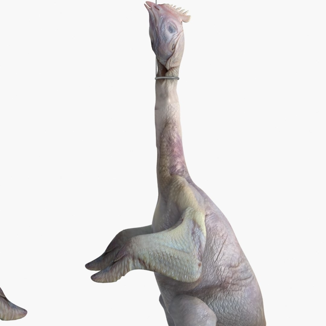 3D Raw Chicken - TurboSquid 1495107