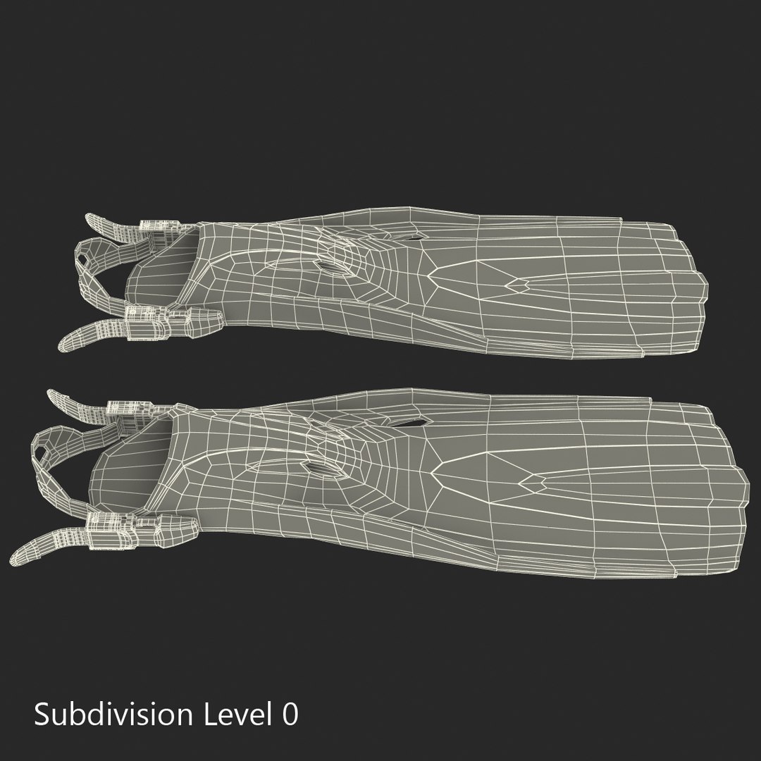Swim Fins Modeled 3d Model