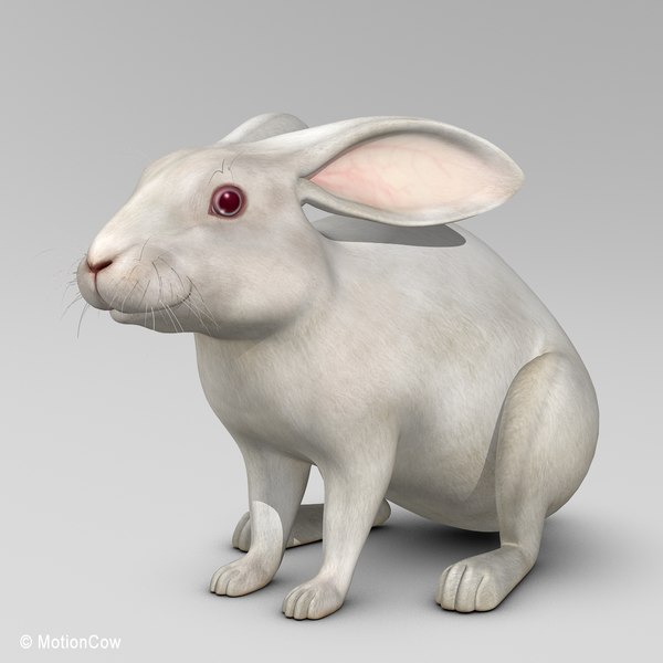 3d realistic white rabbit