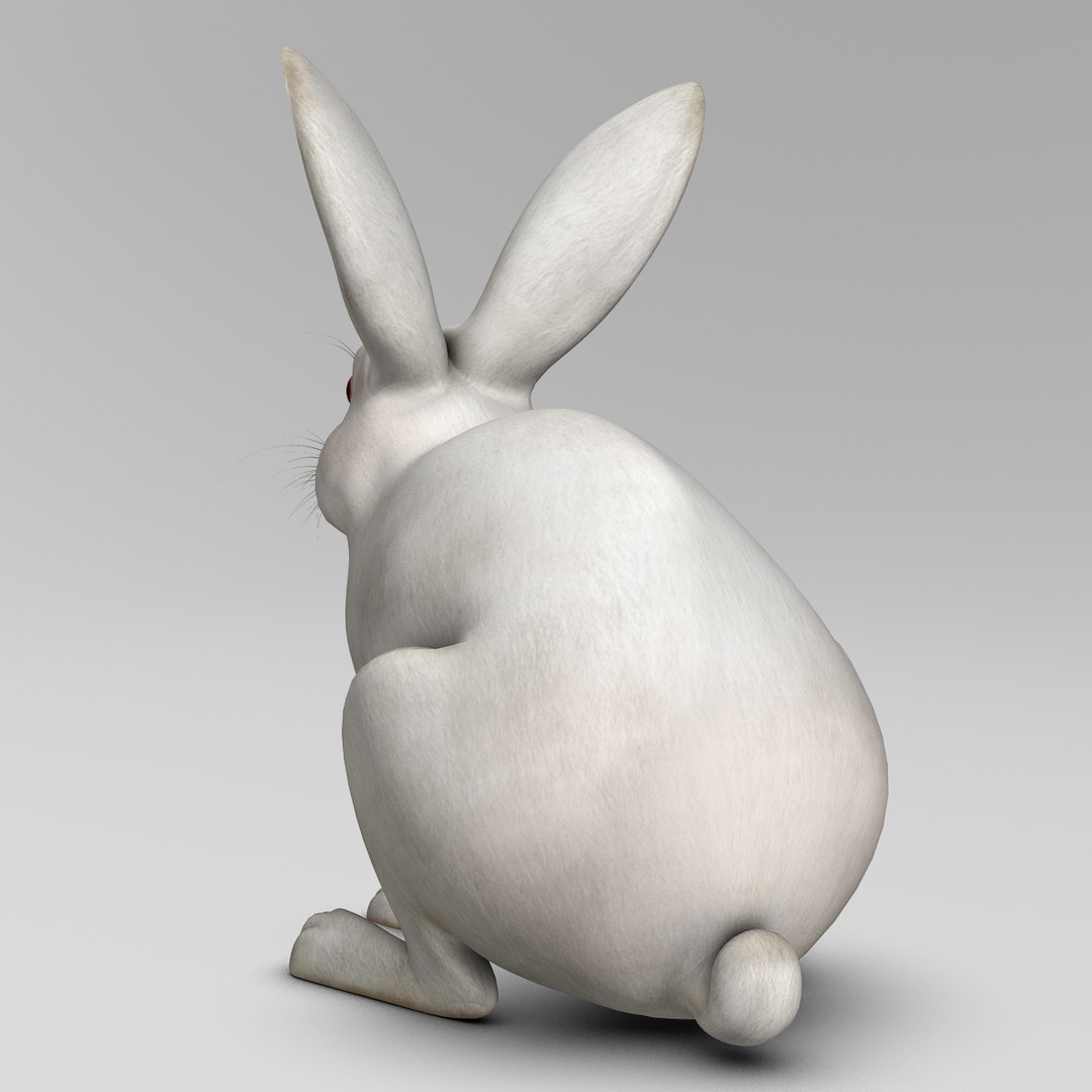 3d Realistic White Rabbit