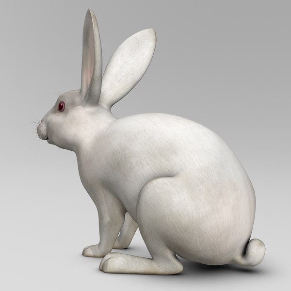 3d realistic white rabbit