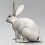 3d Realistic White Rabbit