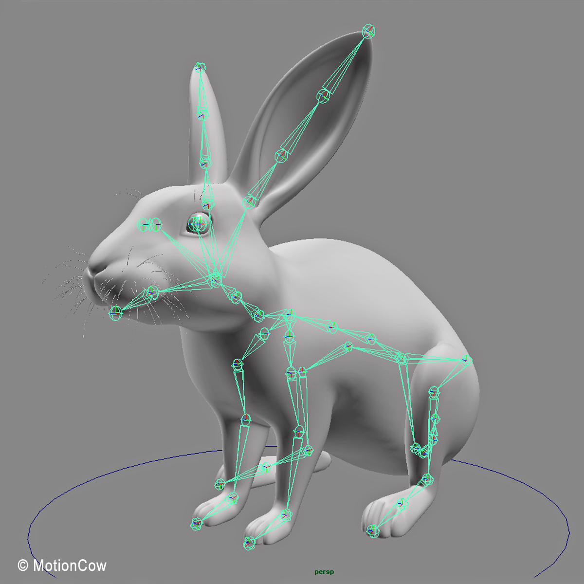 3d realistic white rabbit