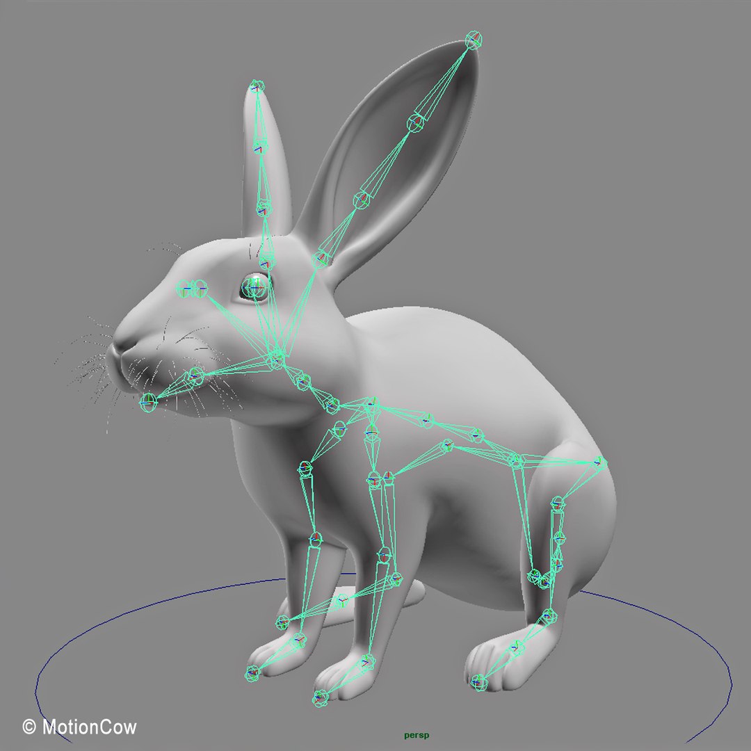 3d Realistic White Rabbit
