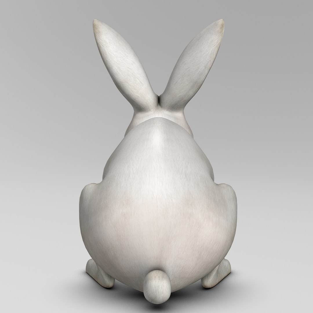 3d Realistic White Rabbit