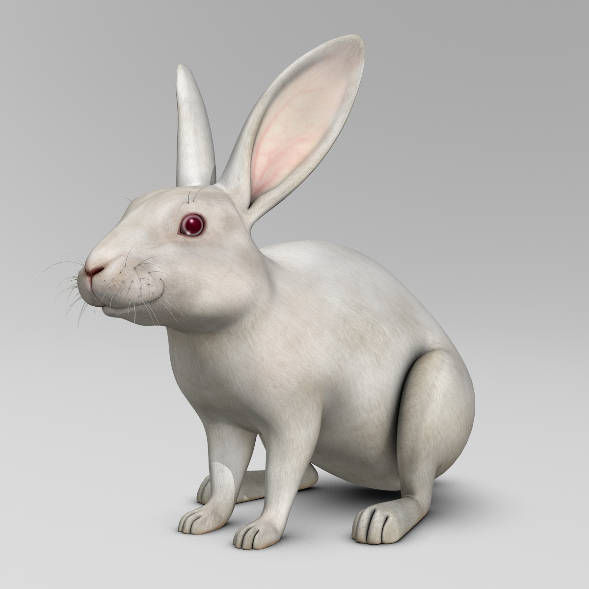 3d realistic white rabbit