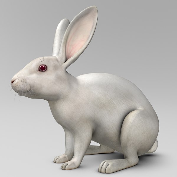 3d realistic white rabbit