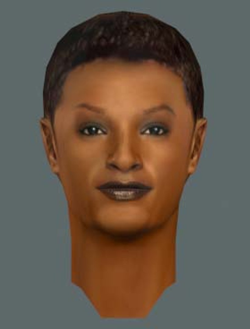 Human Police 3d Model