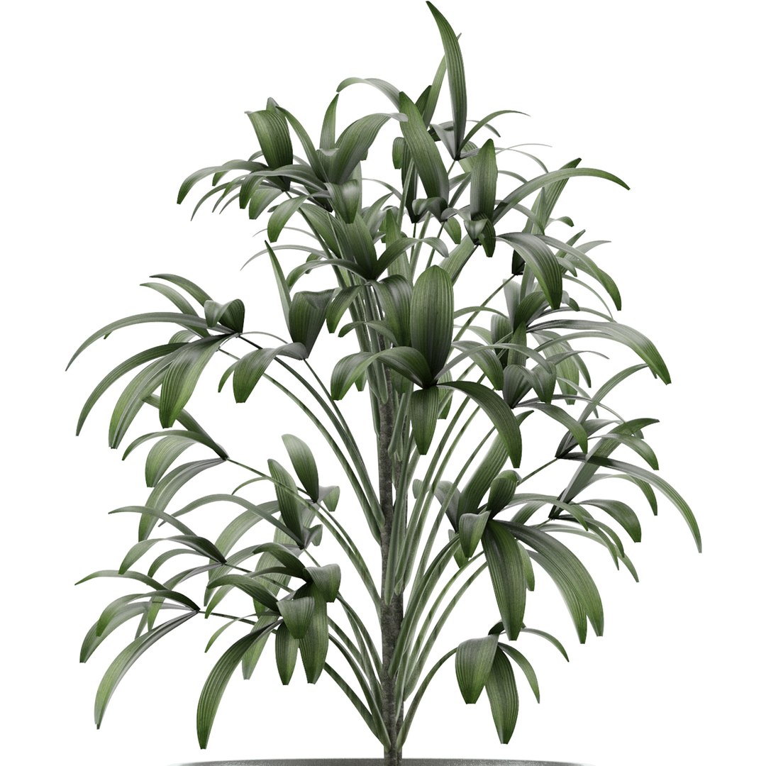 3D Single Plant 12 - TurboSquid 1586391