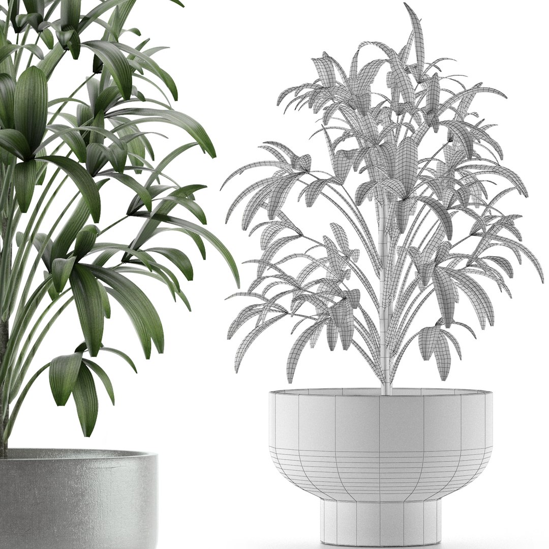 3D single plant 12 - TurboSquid 1586391