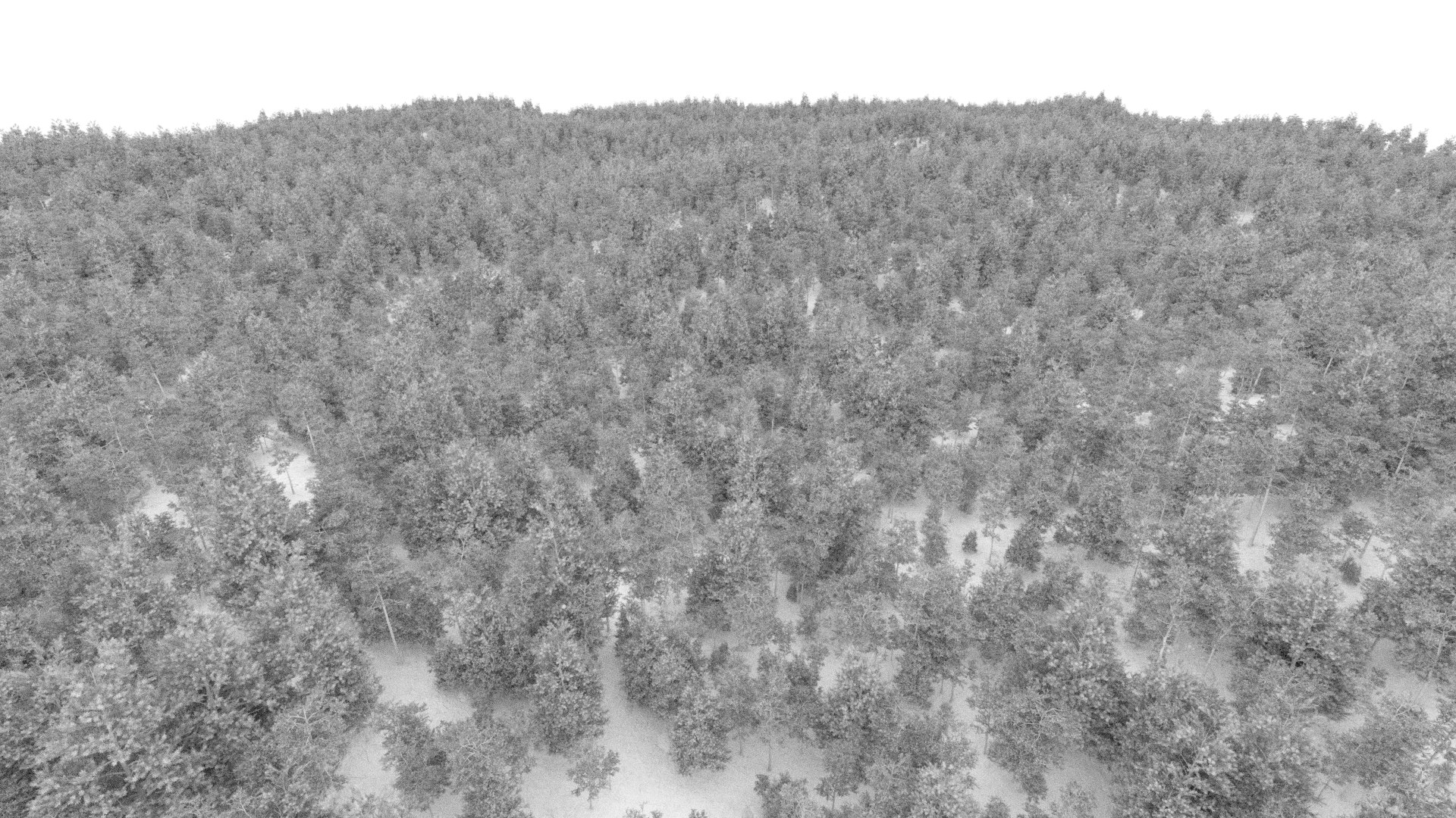 3D Large Panoramic View Of Tropical Rain Forests Plains Grasslands 3D ...