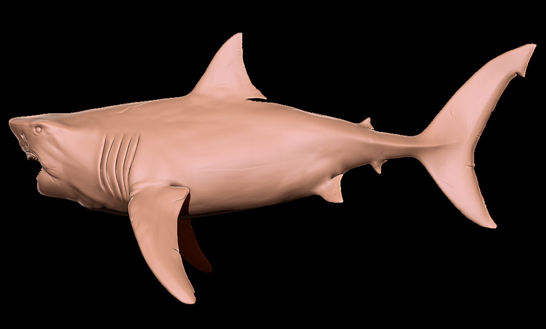 Megalodon 3D Print Model 3D Model - TurboSquid 2230155