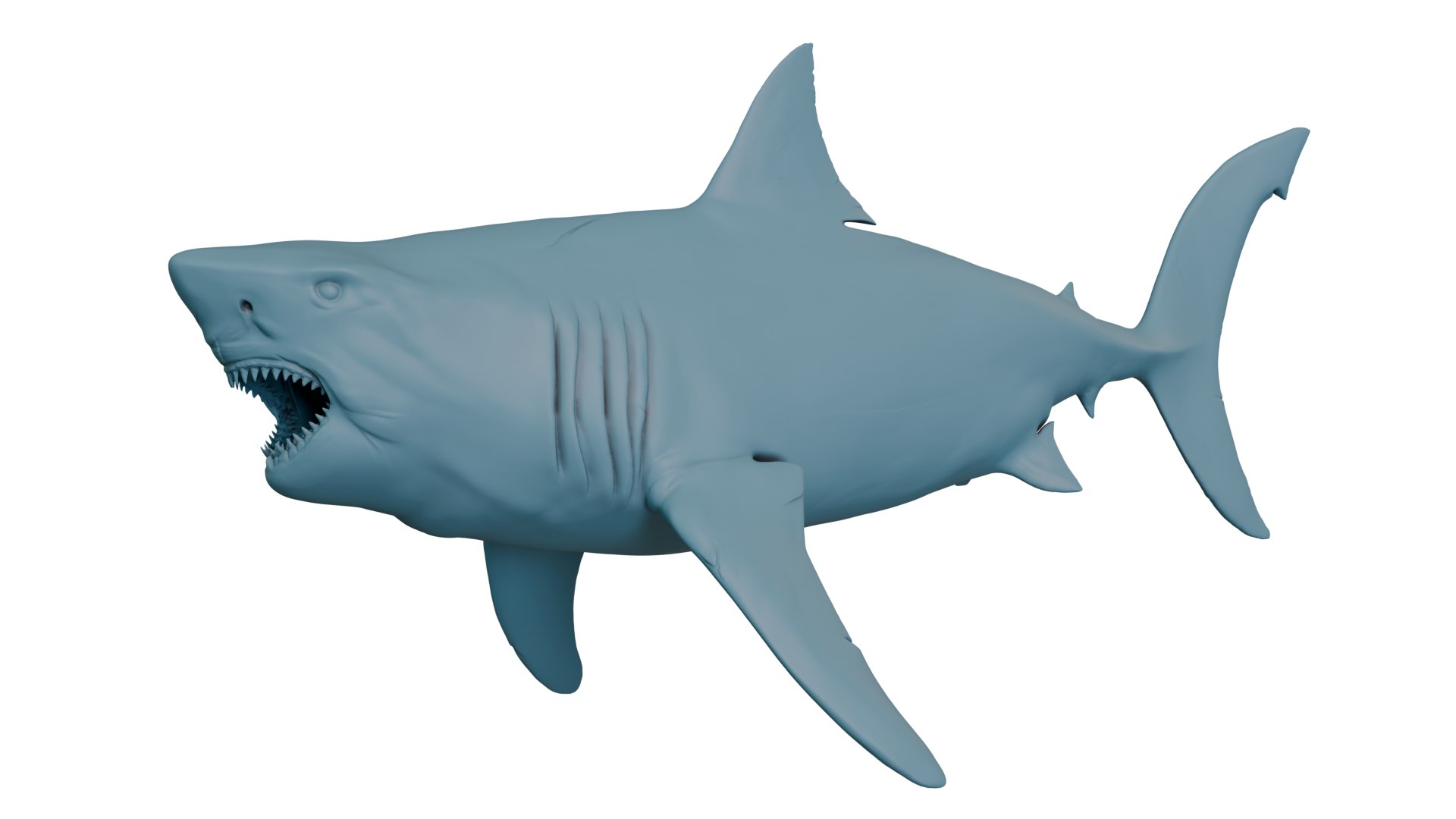 Megalodon 3D Print Model 3D Model - TurboSquid 2230155