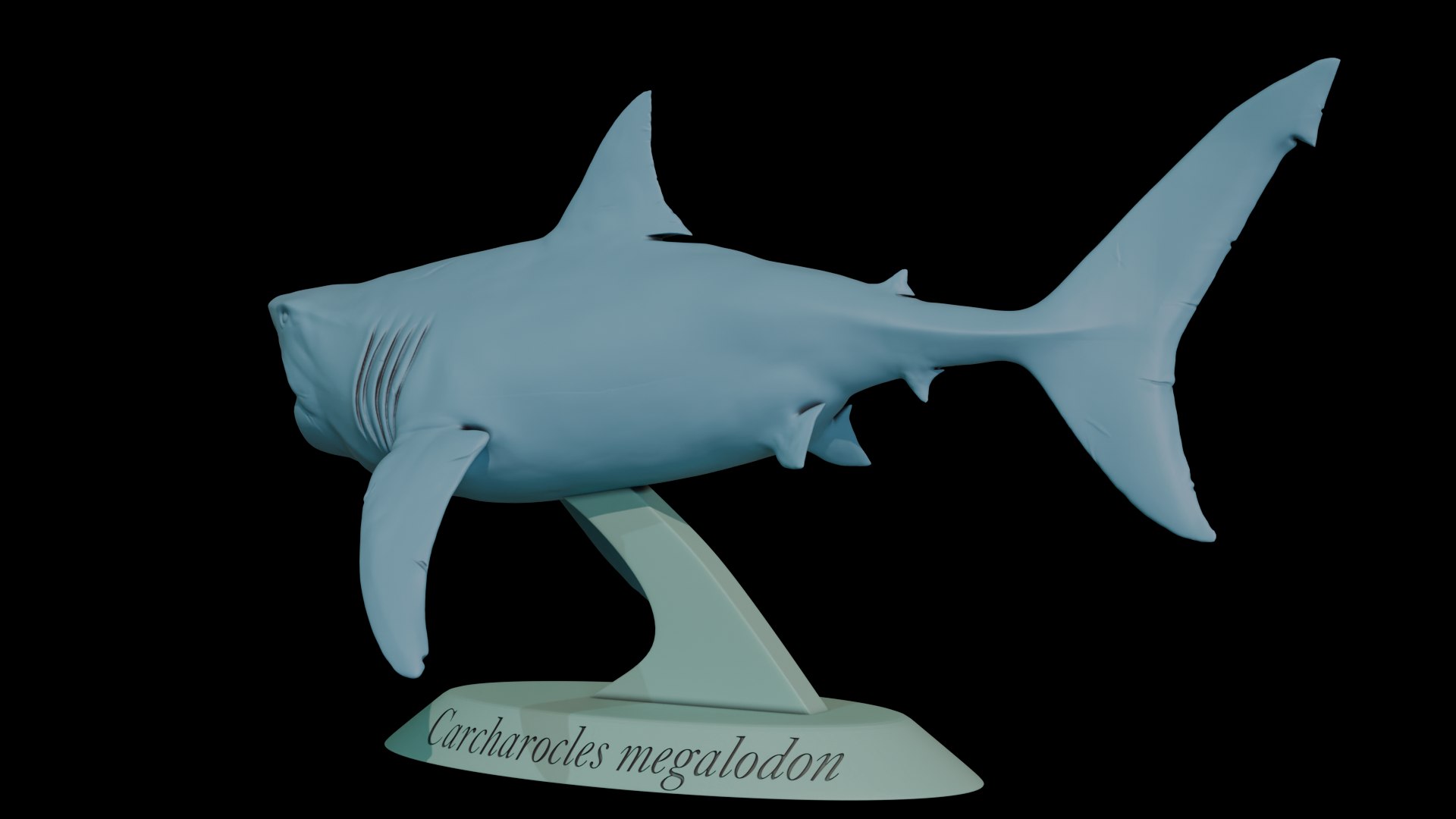 Megalodon 3D Print Model 3D Model - TurboSquid 2230155