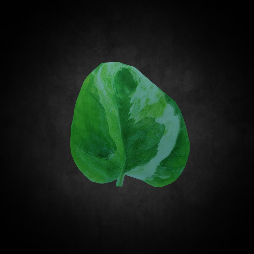 Low Poly Leaf 078 Model - TurboSquid 1852539