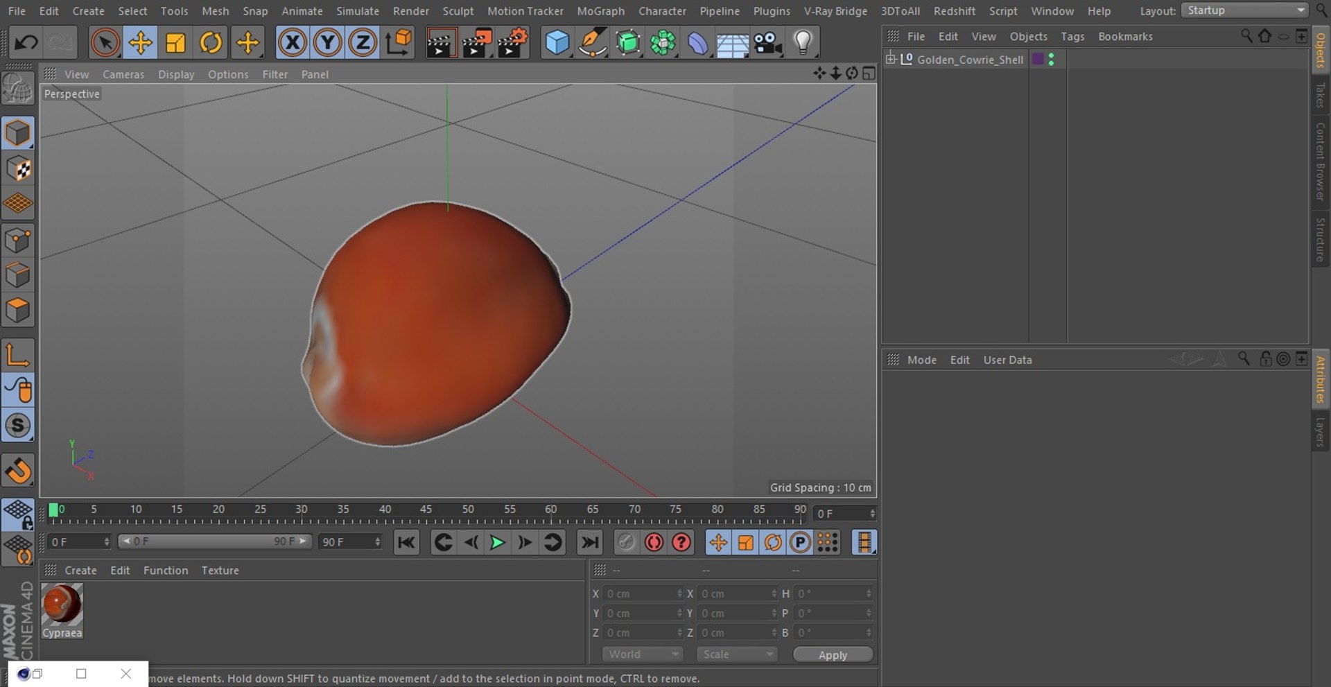 3D model Golden Cowrie Shell - TurboSquid 1998687