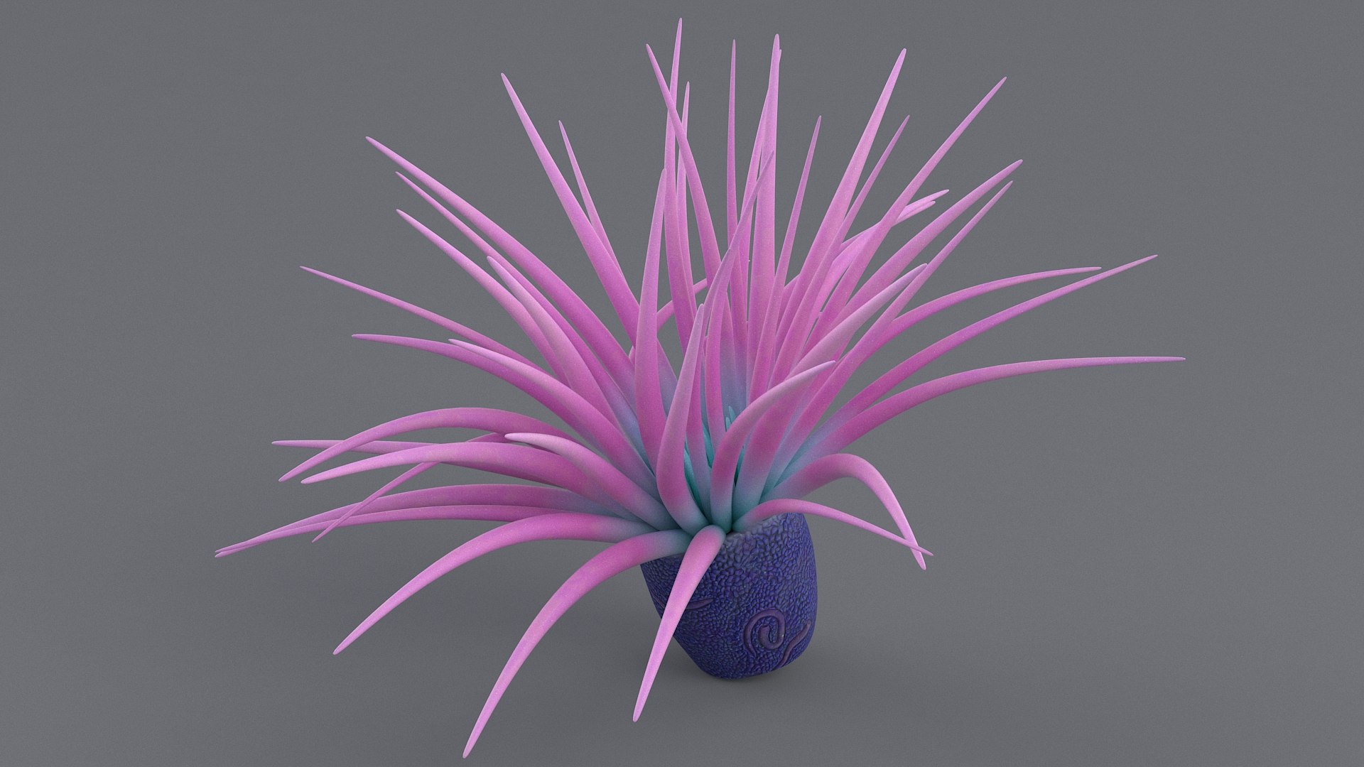 Cerianthus coral model - TurboSquid 1478673