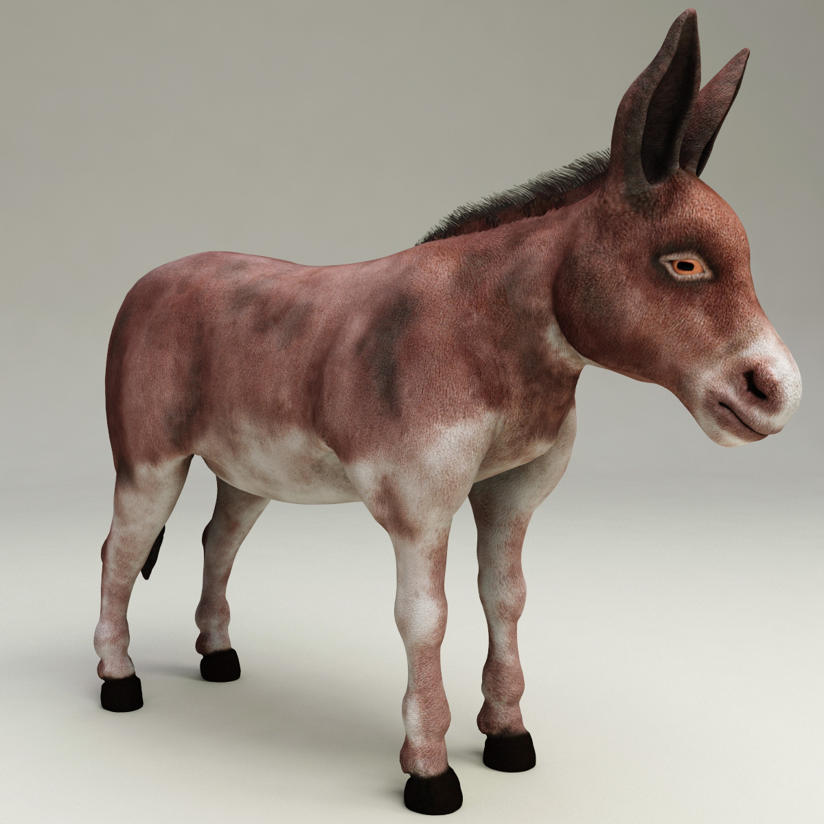 3d model donkey modelled