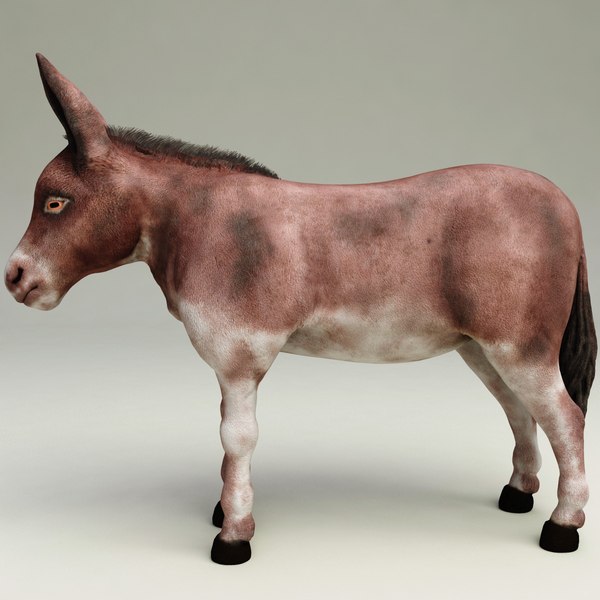 3d model donkey modelled