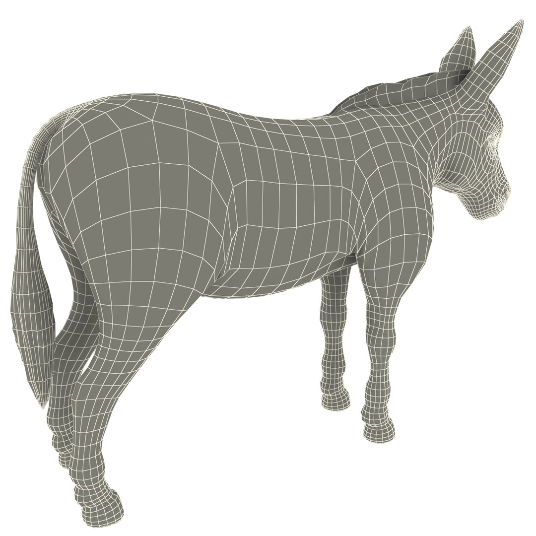 3d Model Donkey Modelled