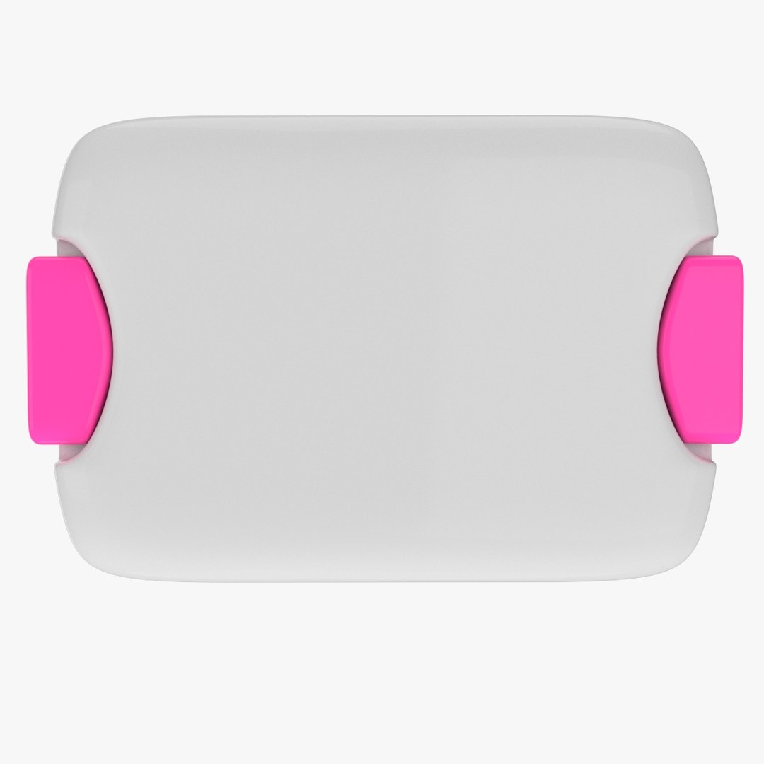 3d Model Lunch Box