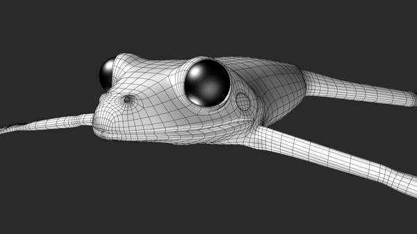 Free Frog 3D Models for Download | TurboSquid