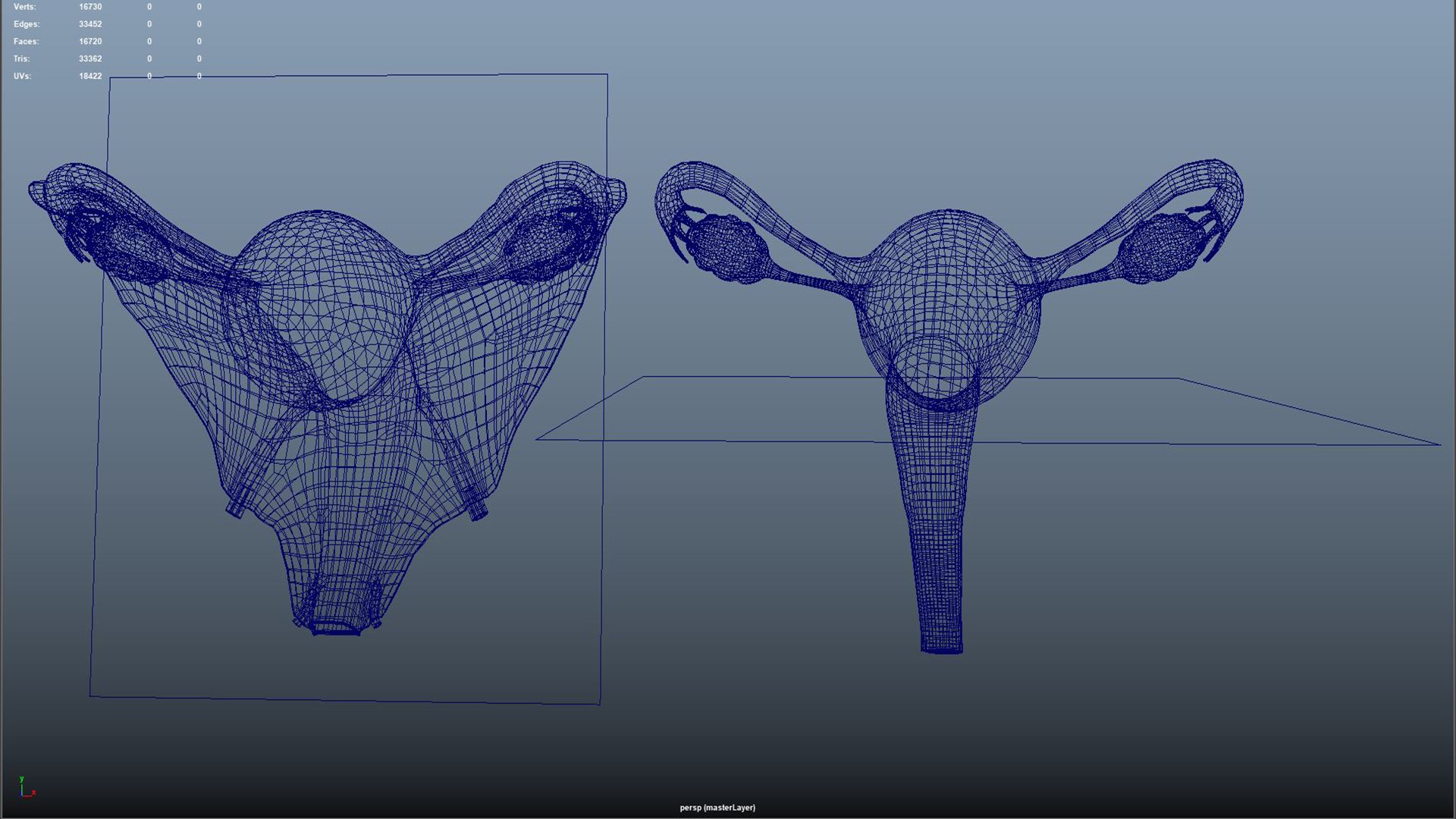 Female Reproductive System Model - TurboSquid 2309896