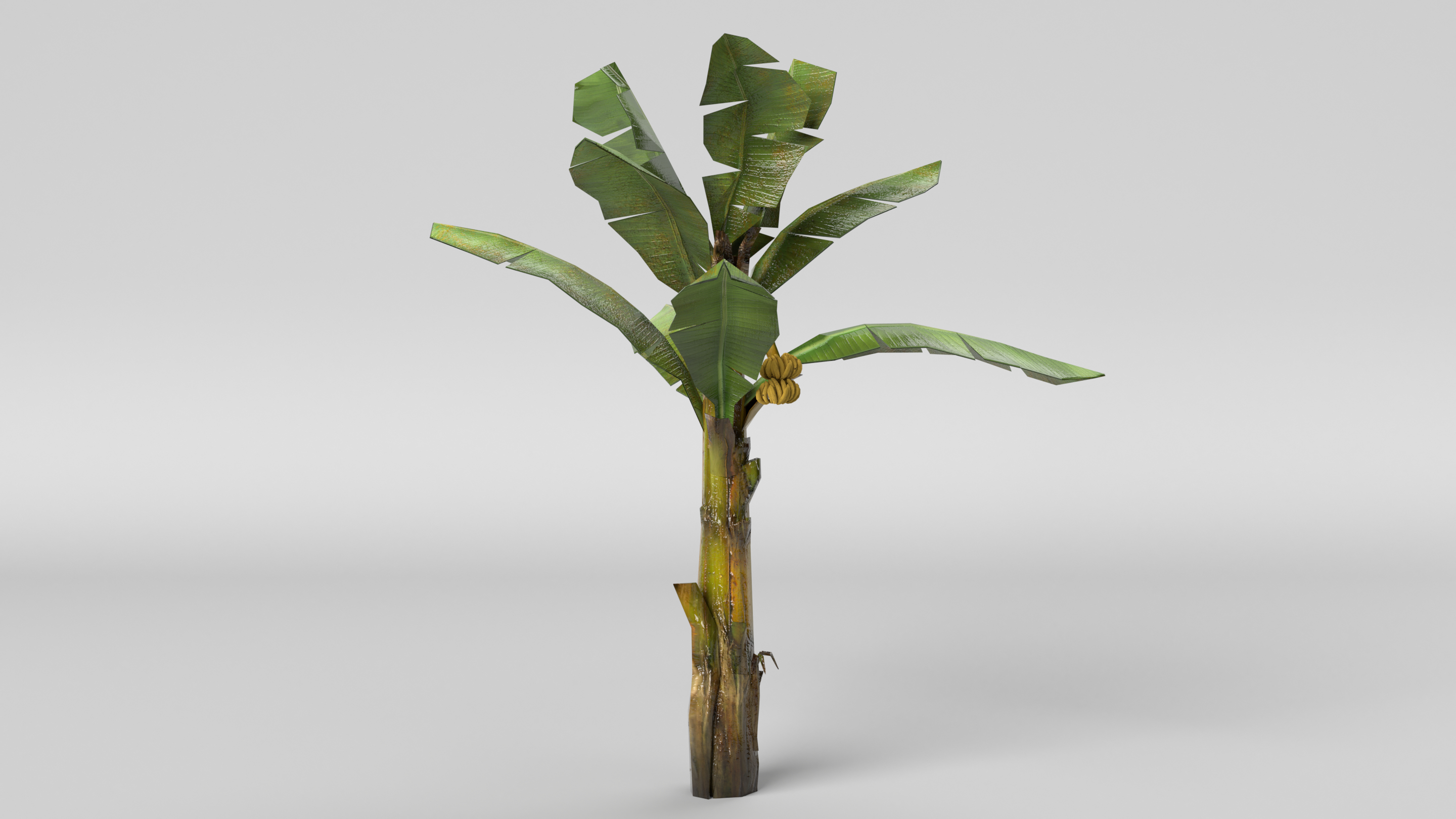 3D model Banana Tree - TurboSquid 1766568