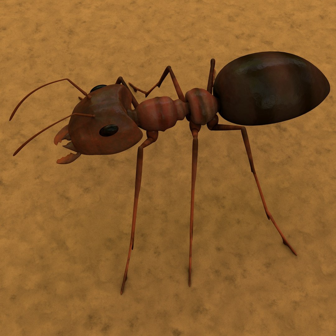 Ant Animation Running 3ds Free