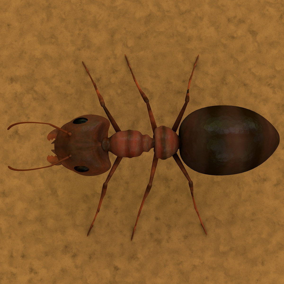 ant animation running 3ds free