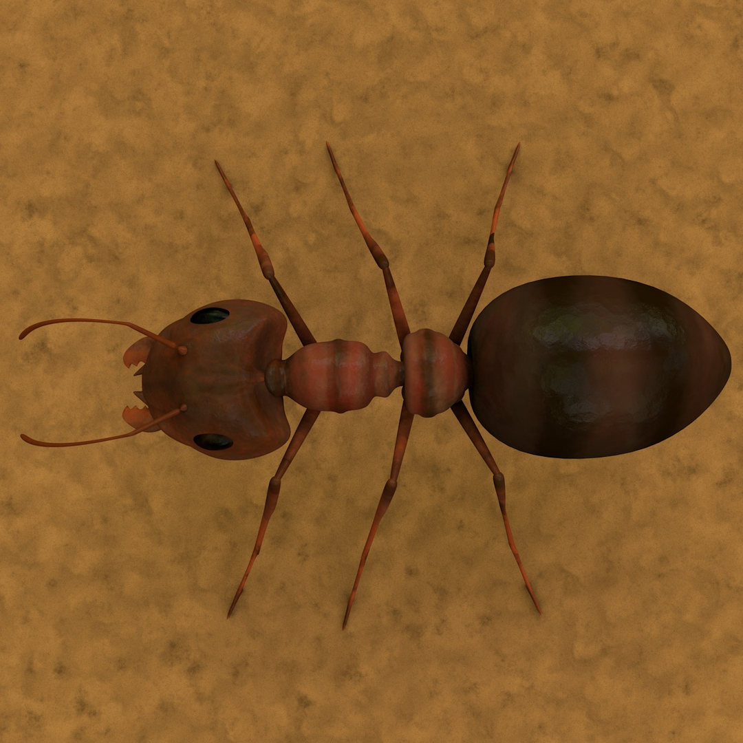 ant animation running 3ds free