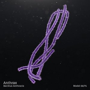 Anthrax 3D Models for Download | TurboSquid