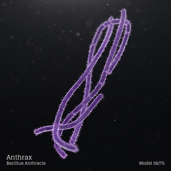 Anthrax 3D Models for Download | TurboSquid