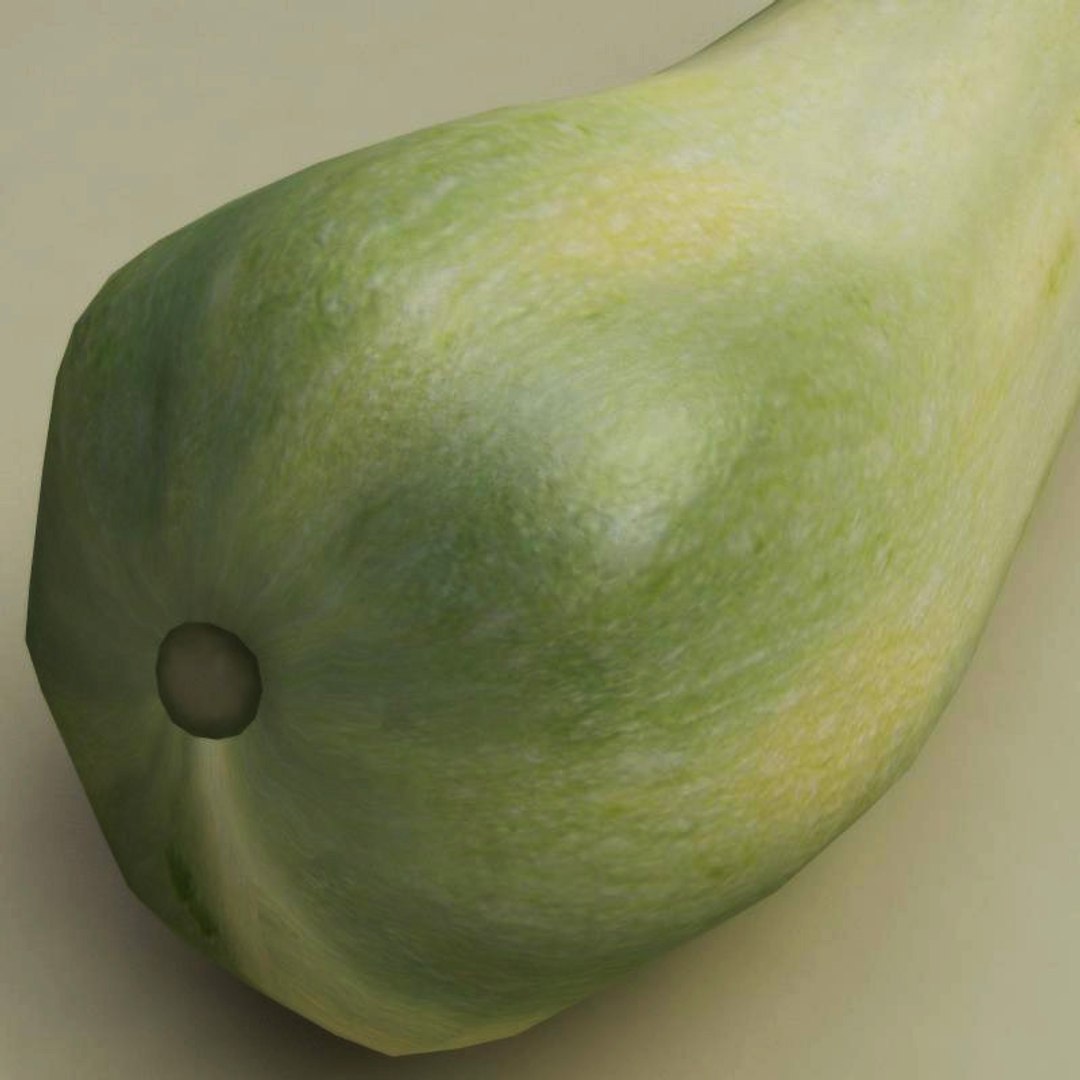 3d Model Courgette Modelled