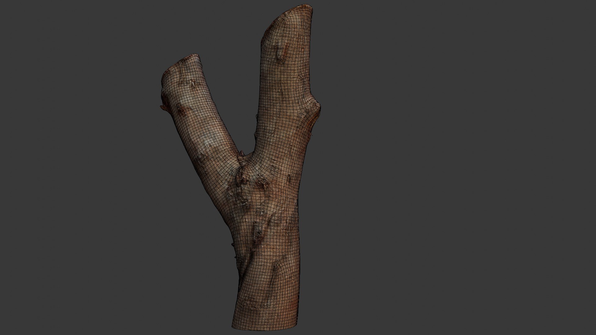 Forked Tree Branch 3D Scan 3D - TurboSquid 2404870