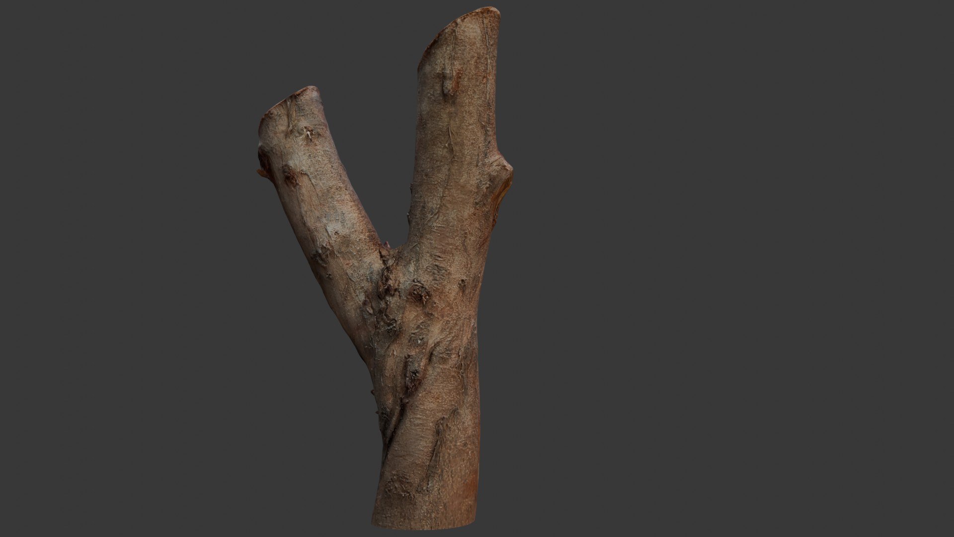 Forked Tree Branch 3D Scan 3D - TurboSquid 2404870
