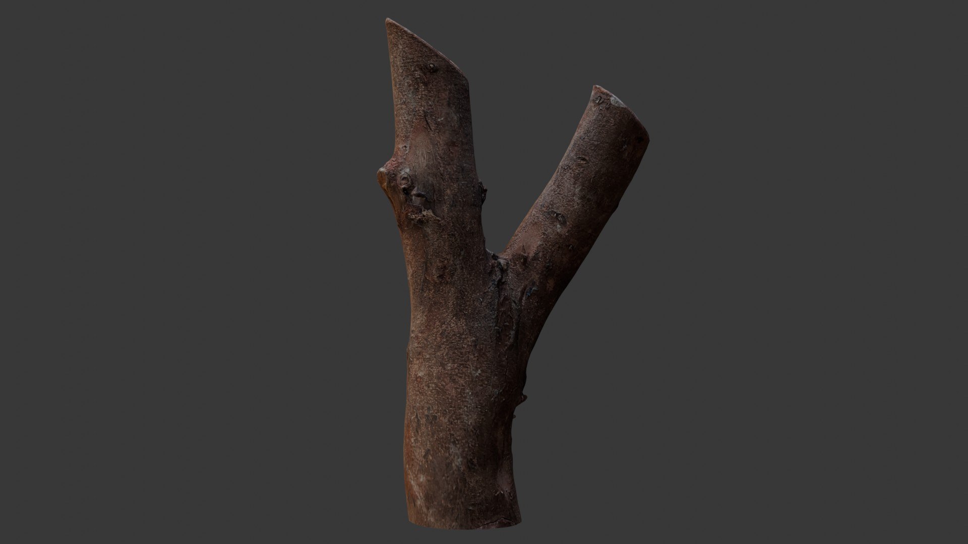 Forked Tree Branch 3D Scan 3D - TurboSquid 2404870