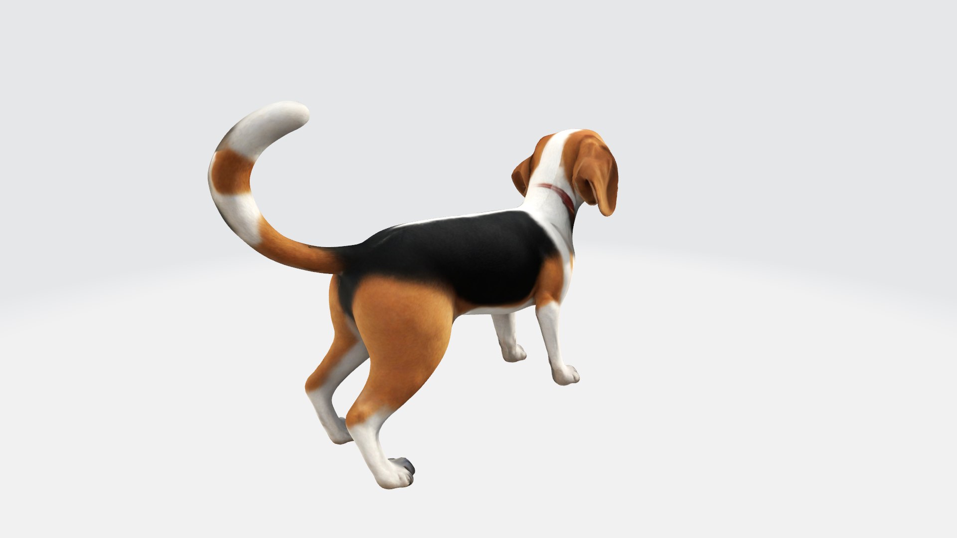 3D Beagle Dog 3d Model High Resulation Model - TurboSquid 2351306