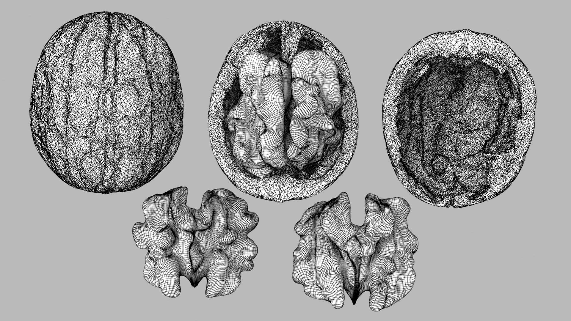 3D Walnuts Model - TurboSquid 1862316