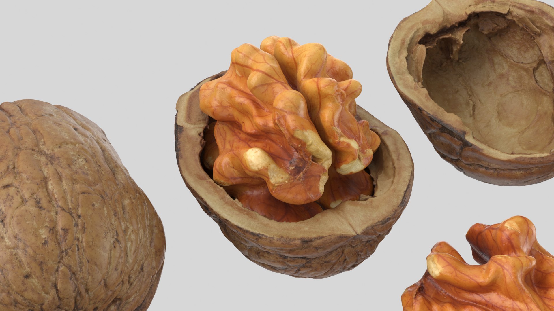 3D Walnuts Model - TurboSquid 1862316