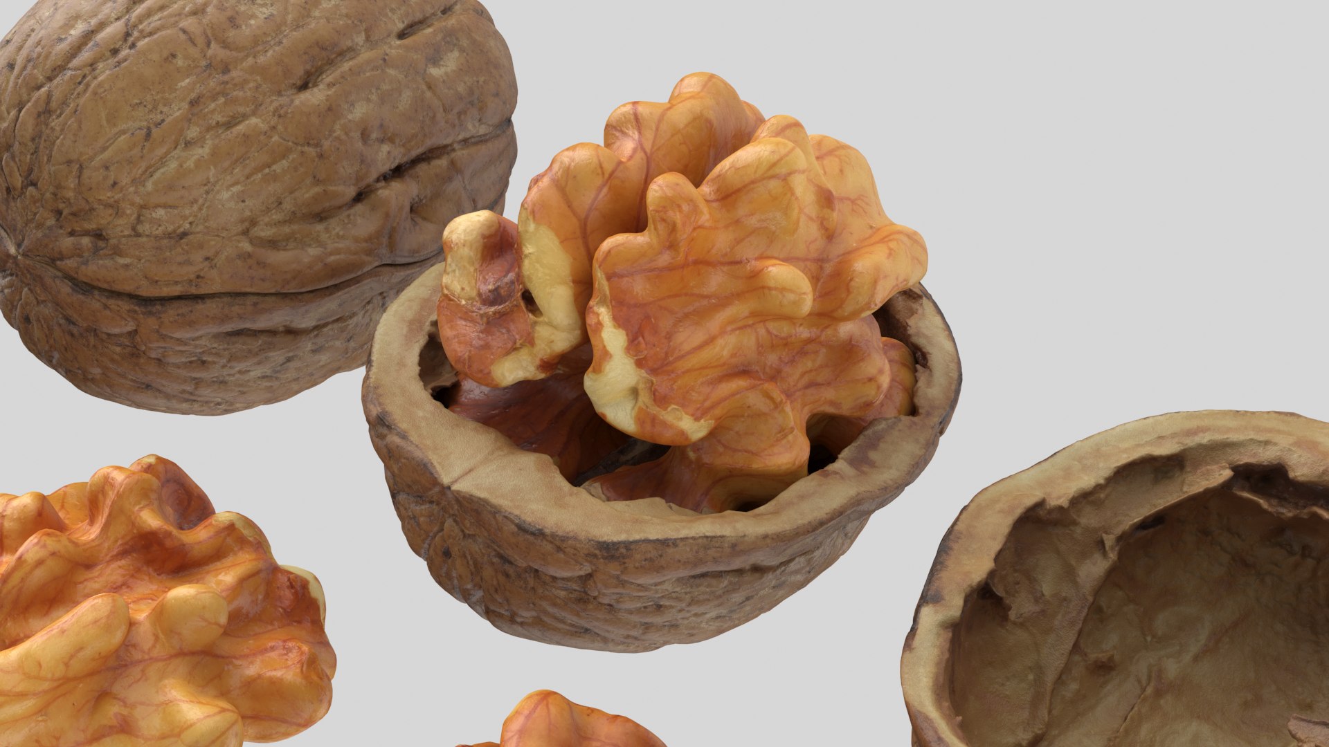 3D Walnuts Model - TurboSquid 1862316
