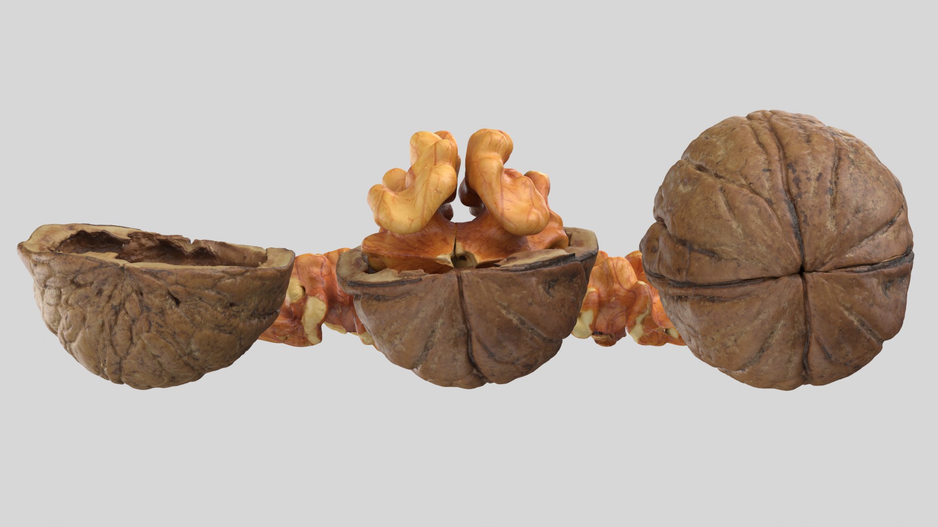 3D Walnuts Model - TurboSquid 1862316