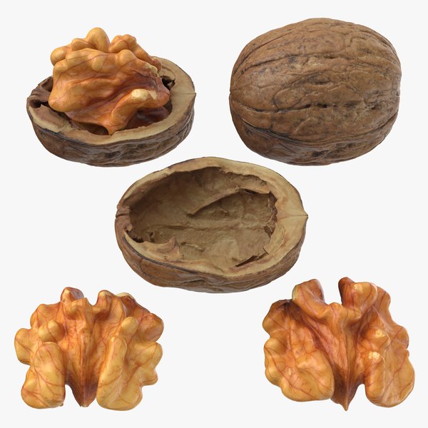 3D Walnuts model - TurboSquid 1862316