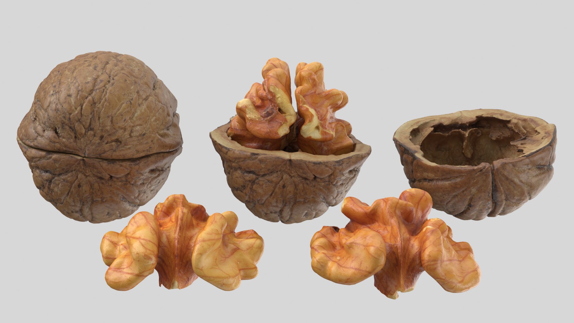 3D Walnuts Model - TurboSquid 1862316
