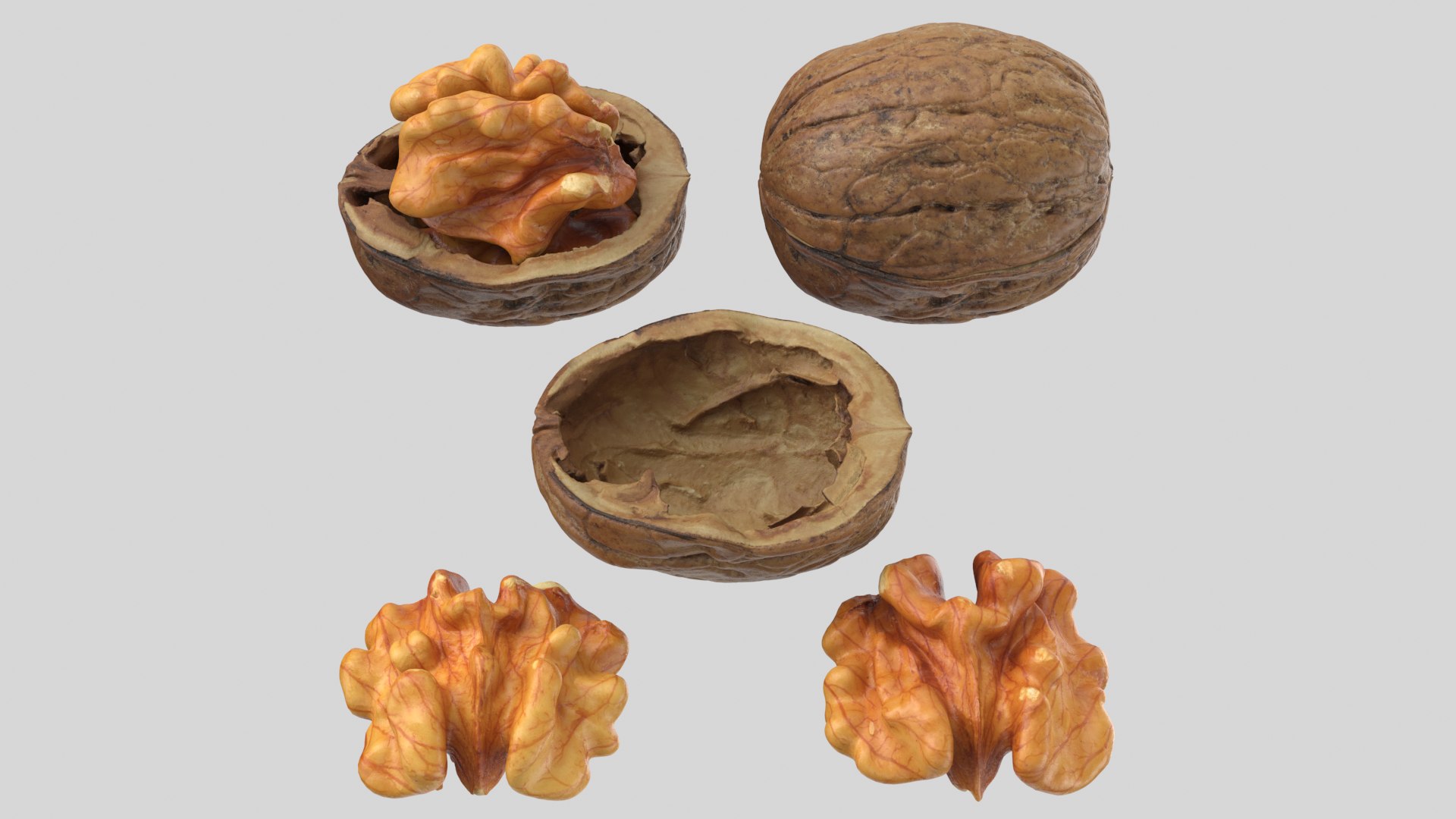 3D Walnuts Model - TurboSquid 1862316