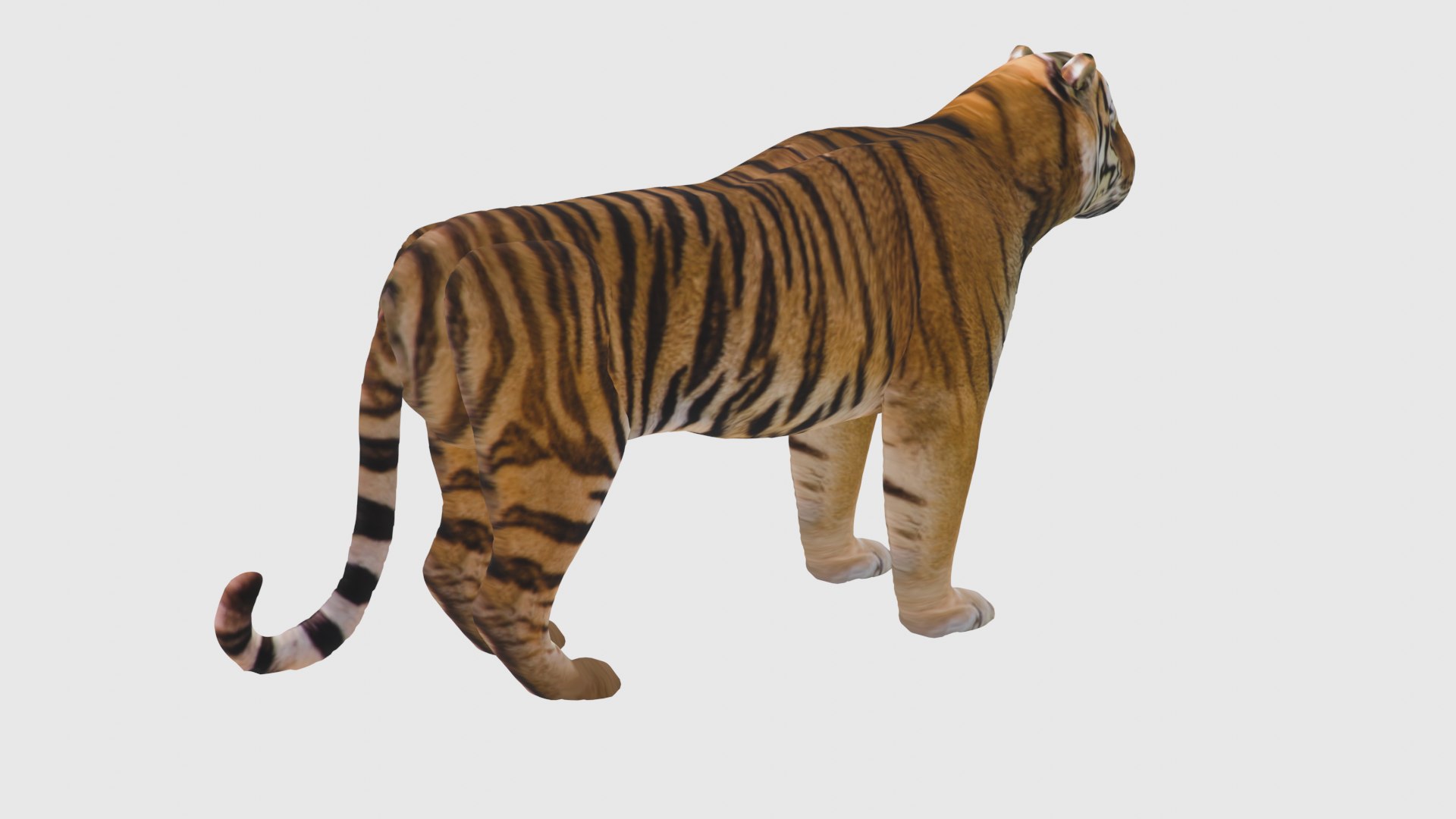Low Poly Tiger Rigged With Realistic Texture 3D model - TurboSquid 1876171